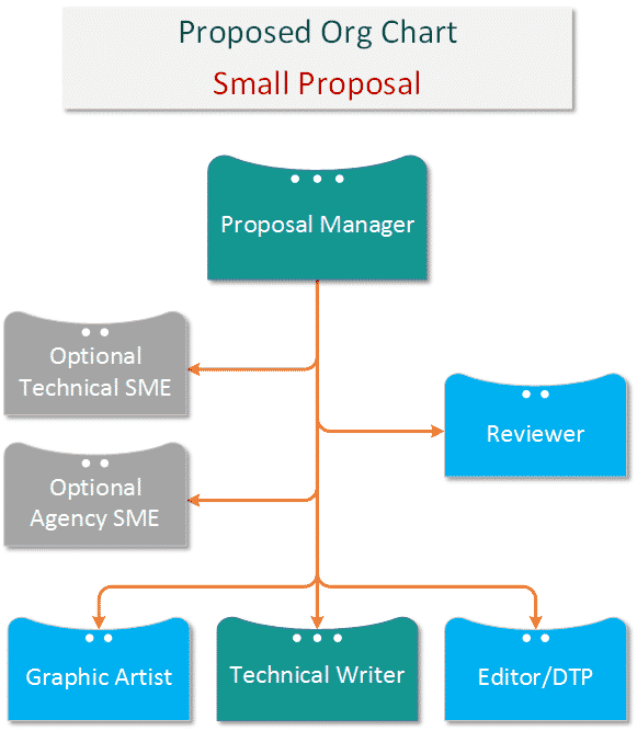 Proposal Team Organization for Government Bids - GDI Consulting